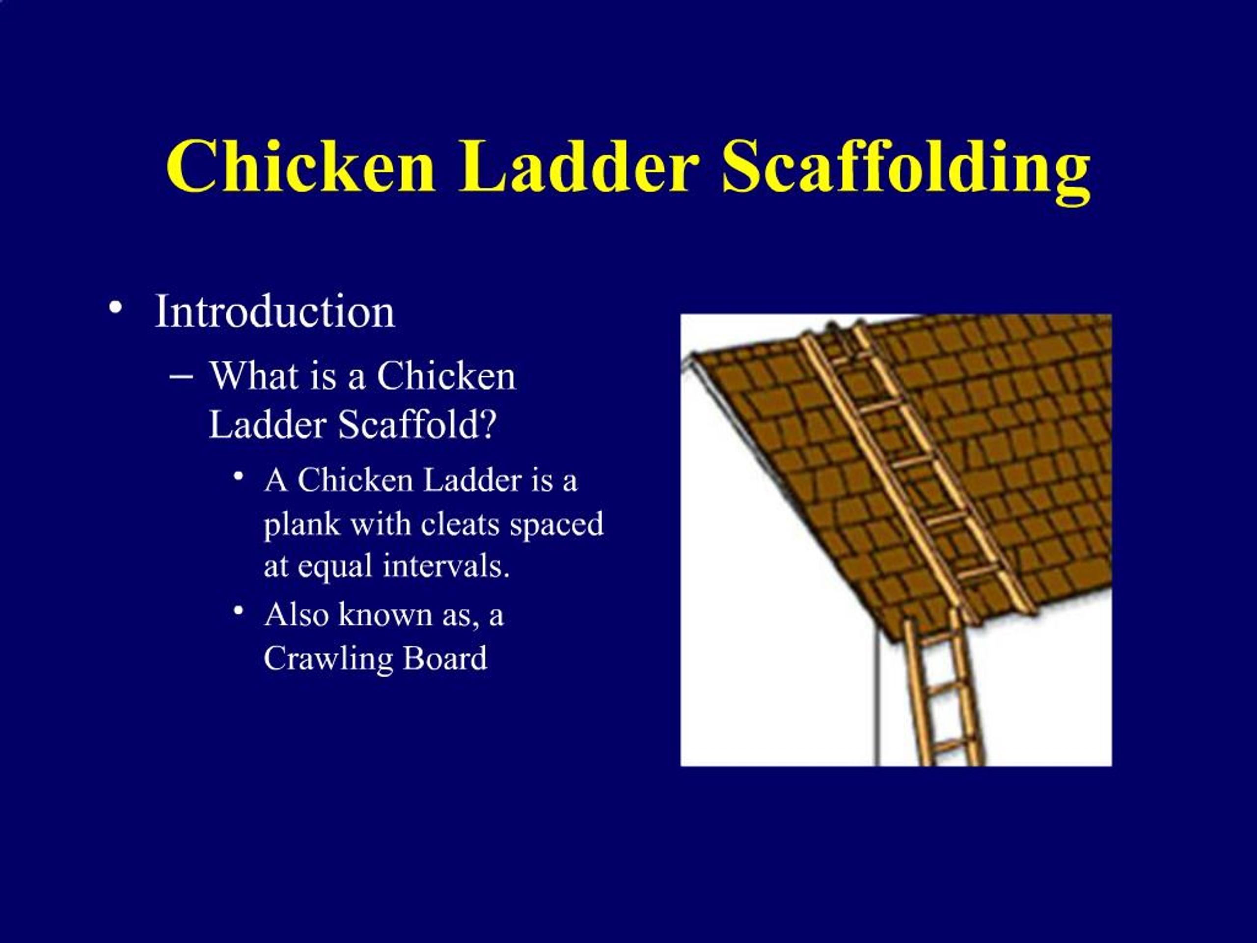 PPT - Chicken Ladder Scaffolding PowerPoint Presentation, free download ...