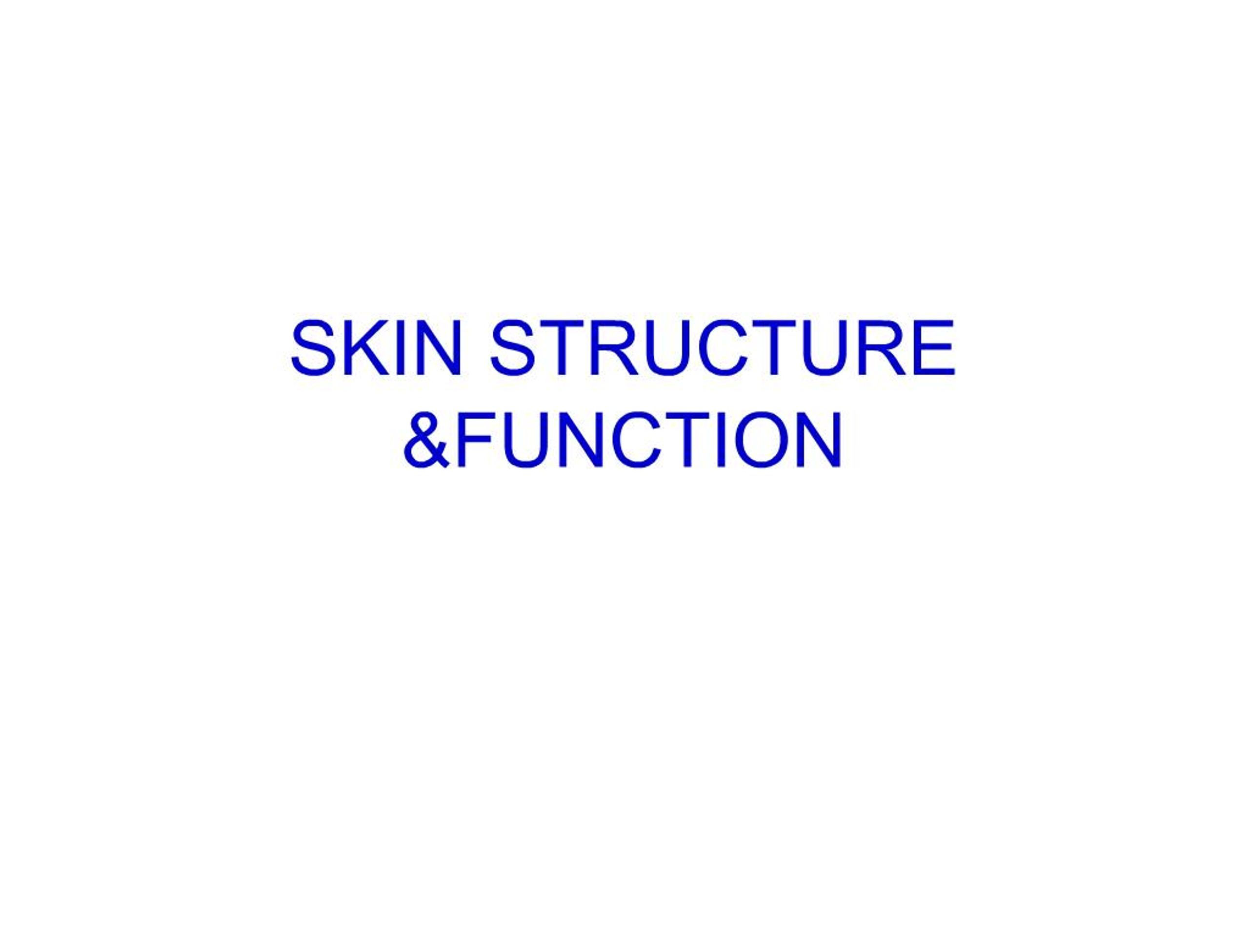PPT - SKIN STRUCTURE FUNCTION PowerPoint Presentation, free download ...