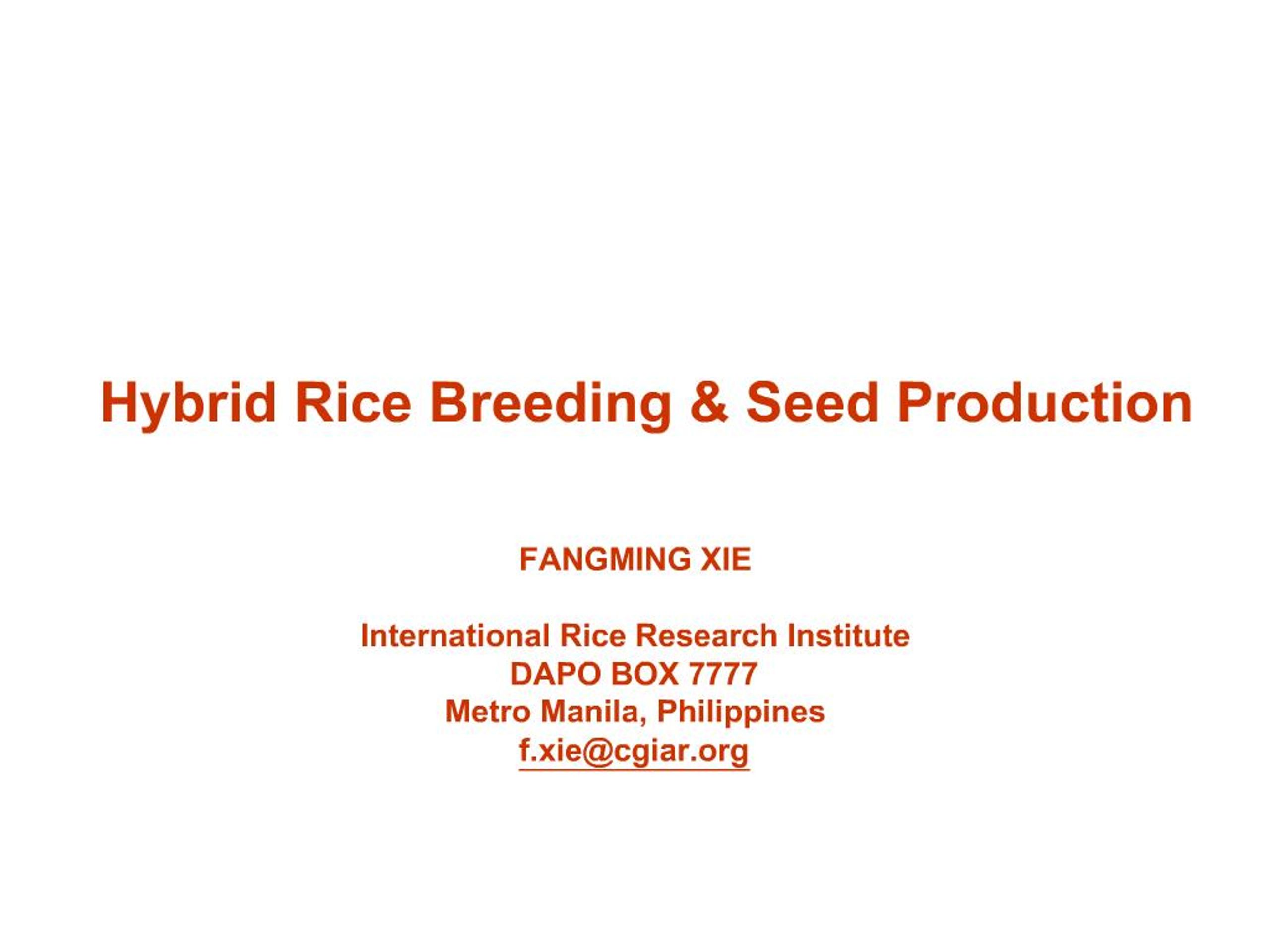 PPT - Hybrid Rice Breeding Seed Production PowerPoint Presentation ...