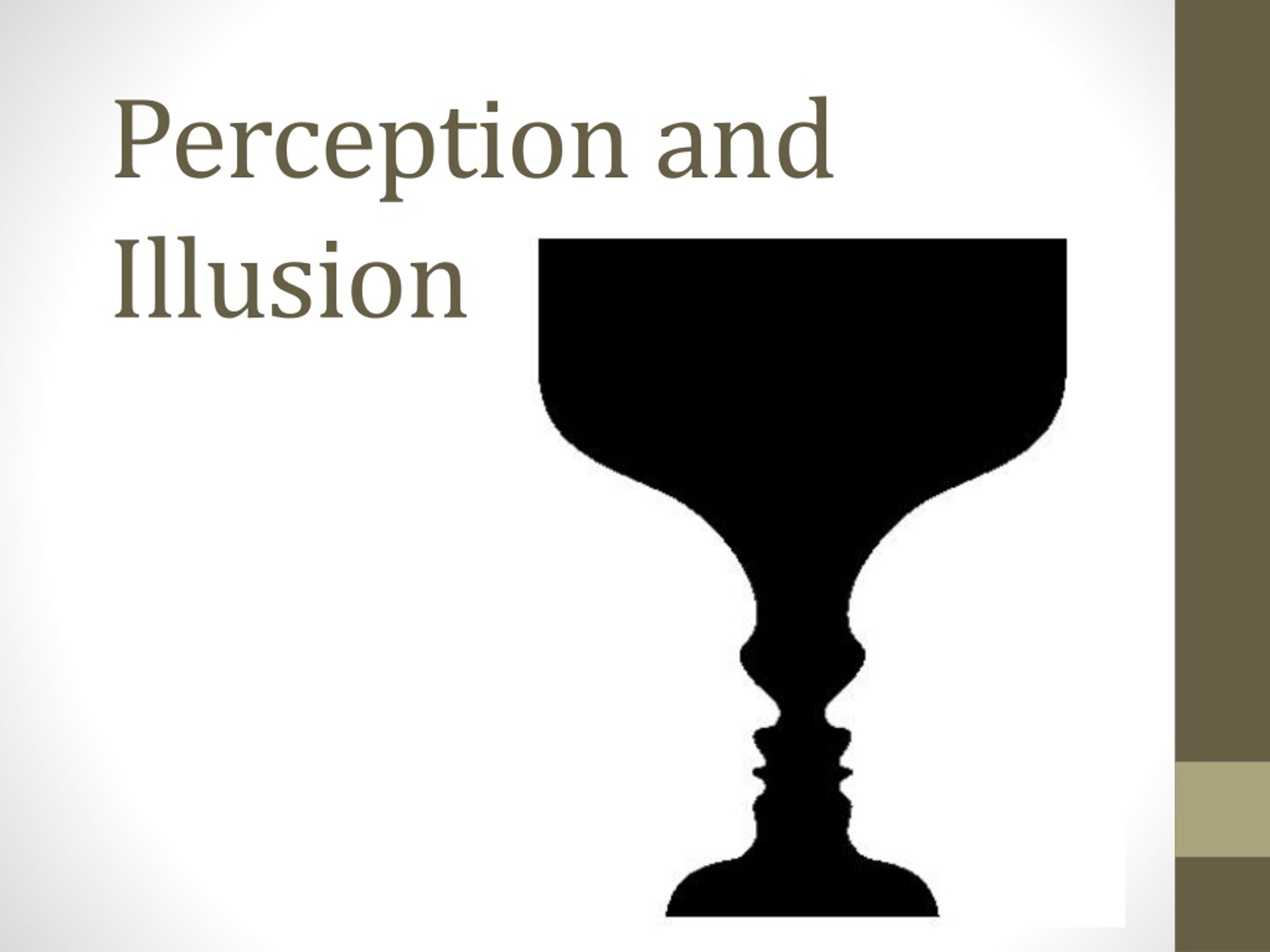 PPT - Perception and Illusion PowerPoint Presentation, free download ...