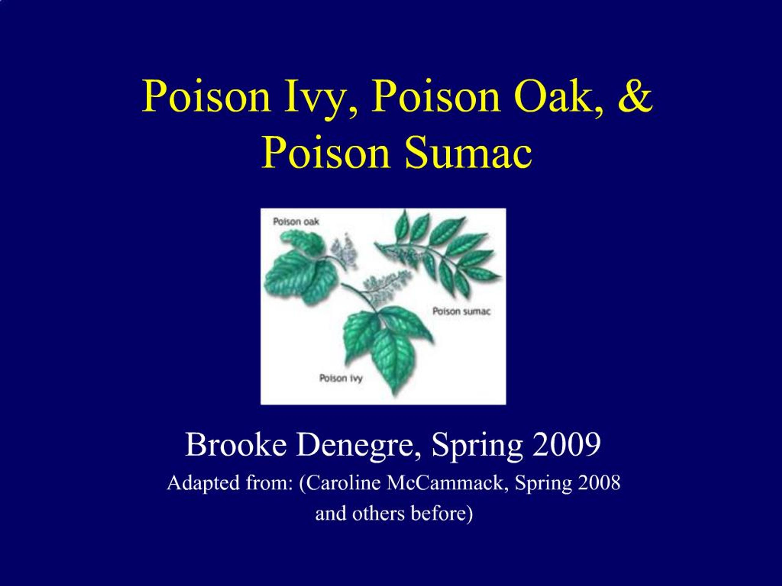 PPT - Poison Ivy, Poison Oak, Poison Sumac PowerPoint Presentation ...