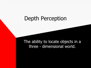 PPT - Depth Perception & 3D Vision PowerPoint Presentation, free download - ID:1460670