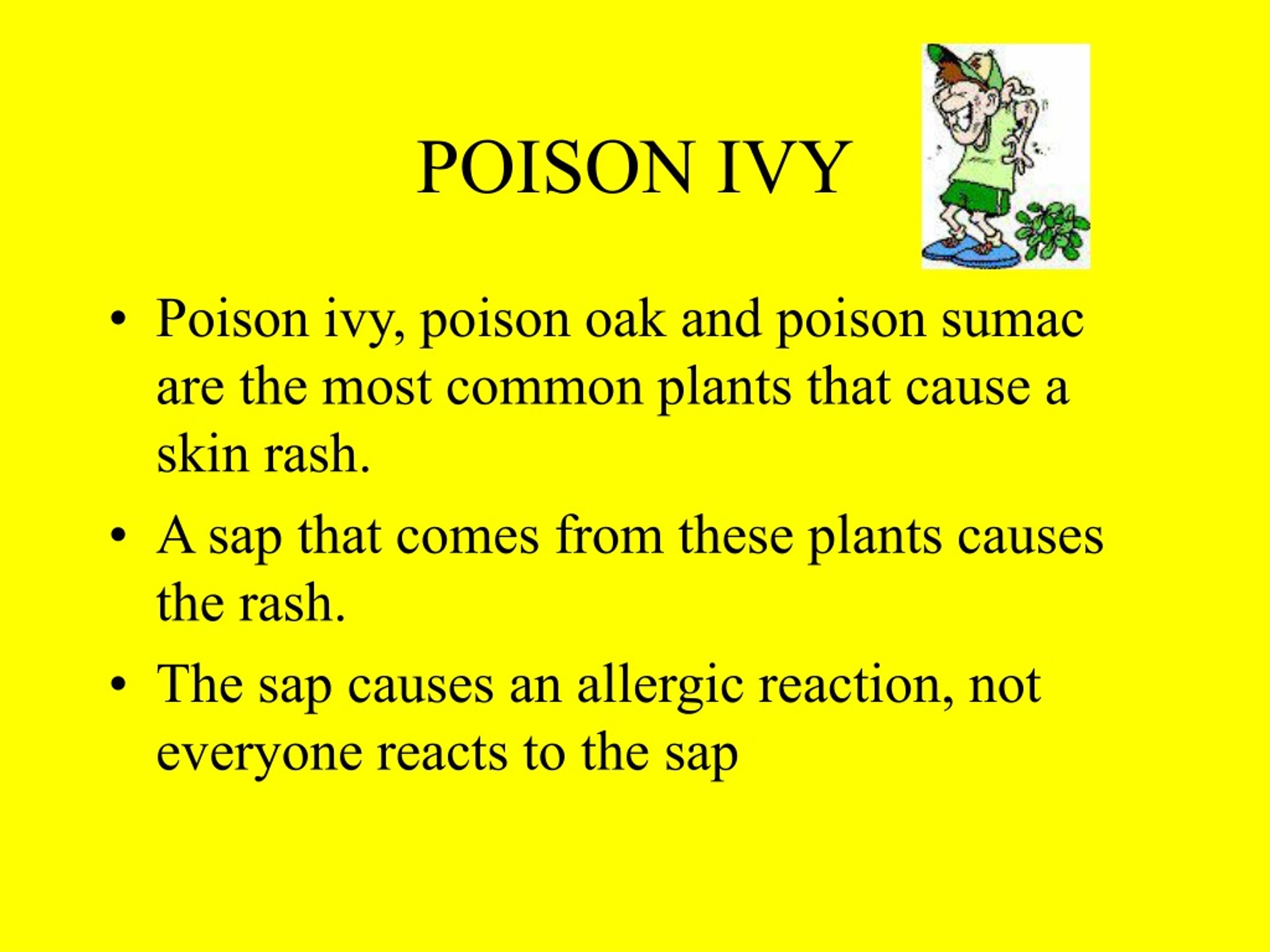 PPT - POISON IVY PowerPoint Presentation, free download - ID:400441
