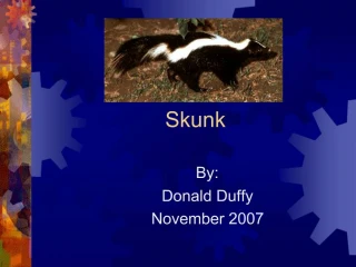 PPT - The Skunk Ladder PowerPoint Presentation, free download - ID:9699537