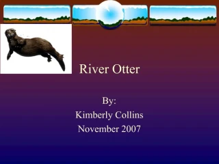 PPT - North American River Otter Lontra Canadensis PowerPoint ...