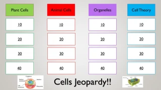 PPT - Plant Cells PowerPoint Presentation, free download - ID:6986346