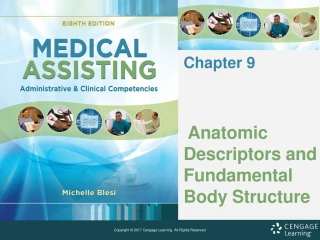 PPT - Body Structure PowerPoint Presentation, free download - ID:3332794