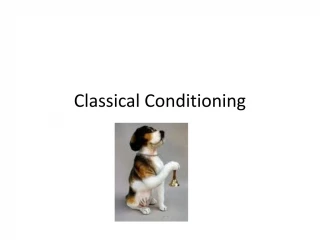 PPT - Classical Conditioning: The Elements of Associative Learning ...