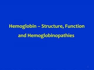 PPT - Hemoglobin synthesis, structure & function PowerPoint Presentation - ID:315600