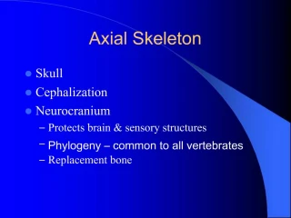 PPT - Axial Skeleton PowerPoint Presentation, free download - ID:1828799