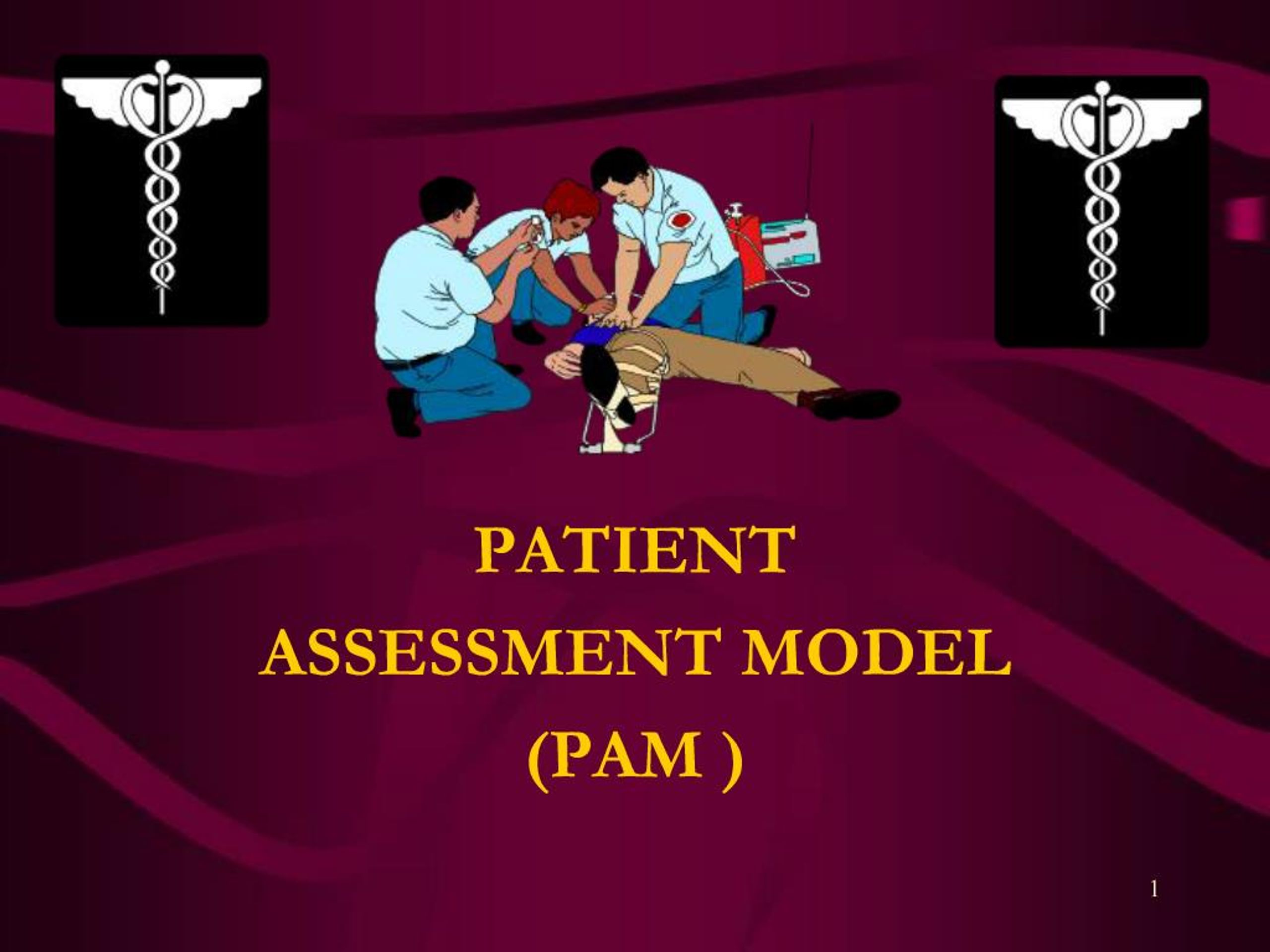 PPT - PATIENT ASSESSMENT MODEL PAM PowerPoint Presentation, free ...
