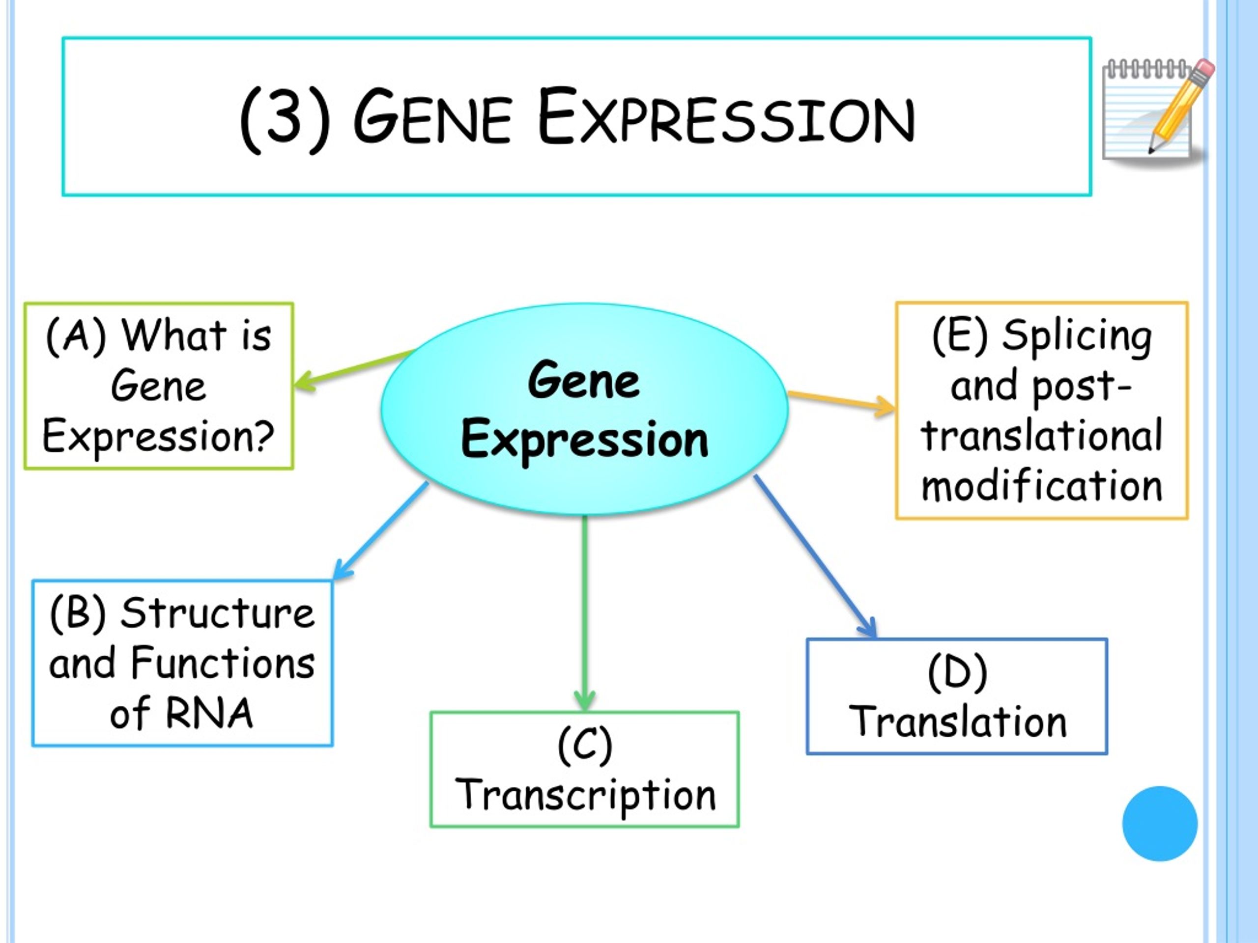 PPT - (3) Gene Expression PowerPoint Presentation, free download - ID ...