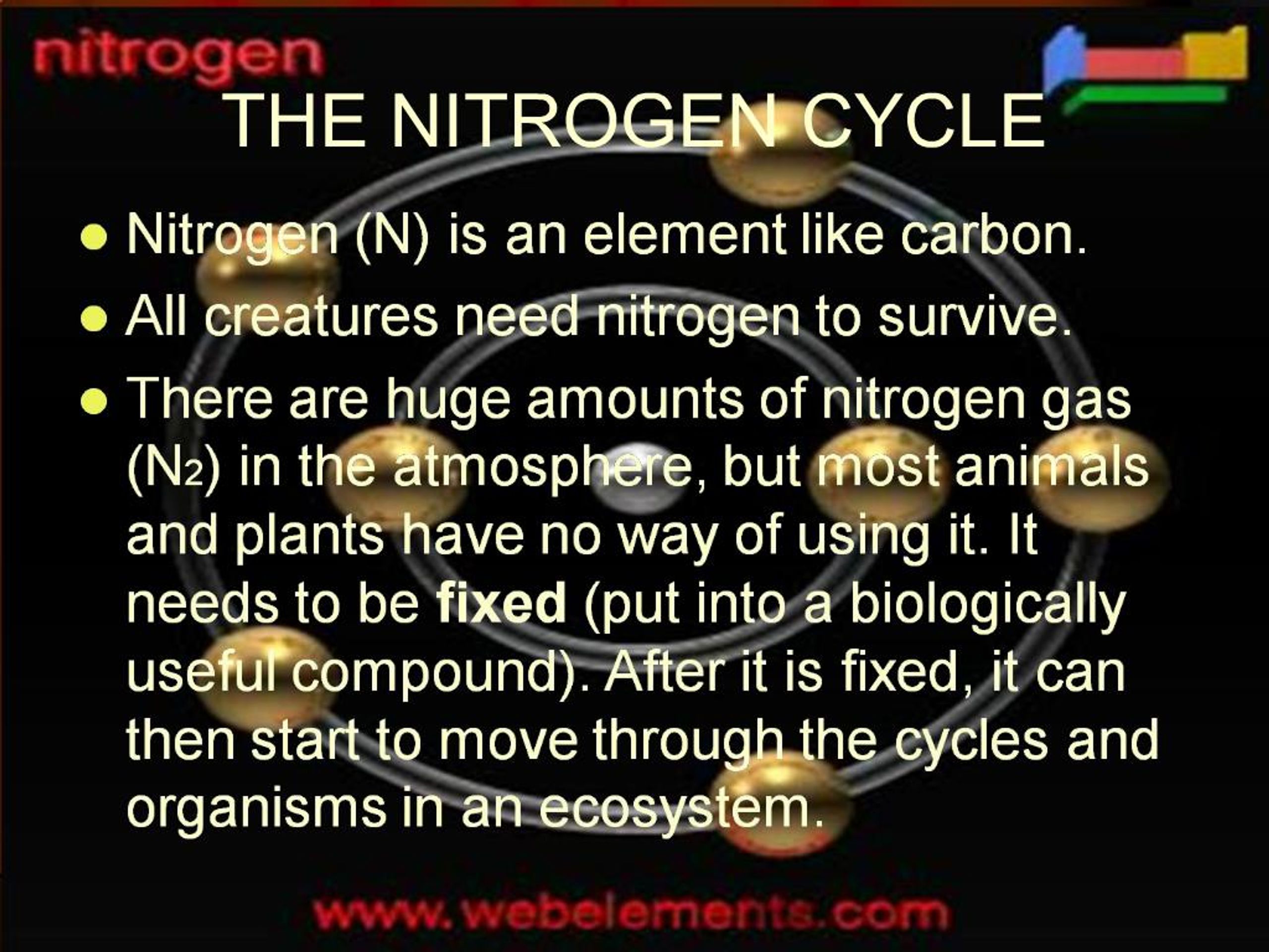 PPT - THE NITROGEN CYCLE PowerPoint Presentation, free download - ID:458619