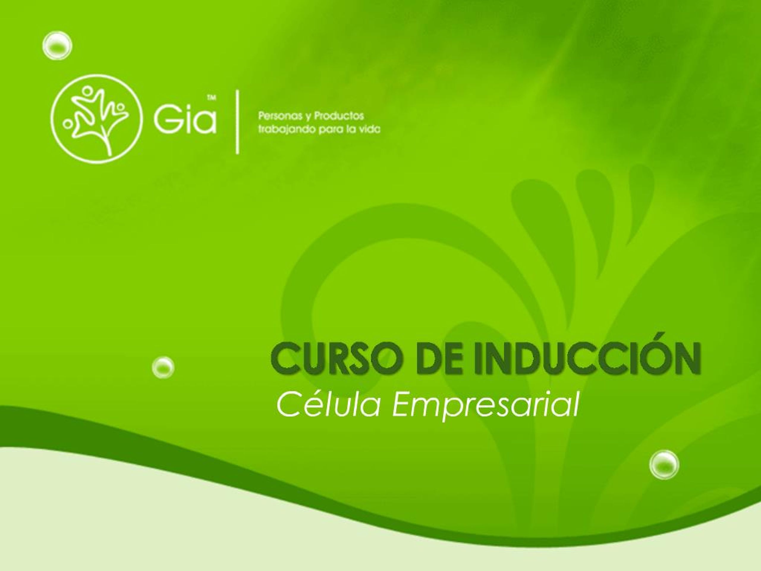 PPT - C lula Empresarial PowerPoint Presentation, free download - ID:462197