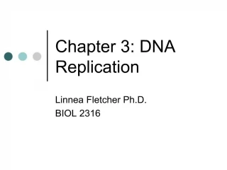 PPT - Chapter 16 Extrachromosomal Replication PowerPoint Presentation ...