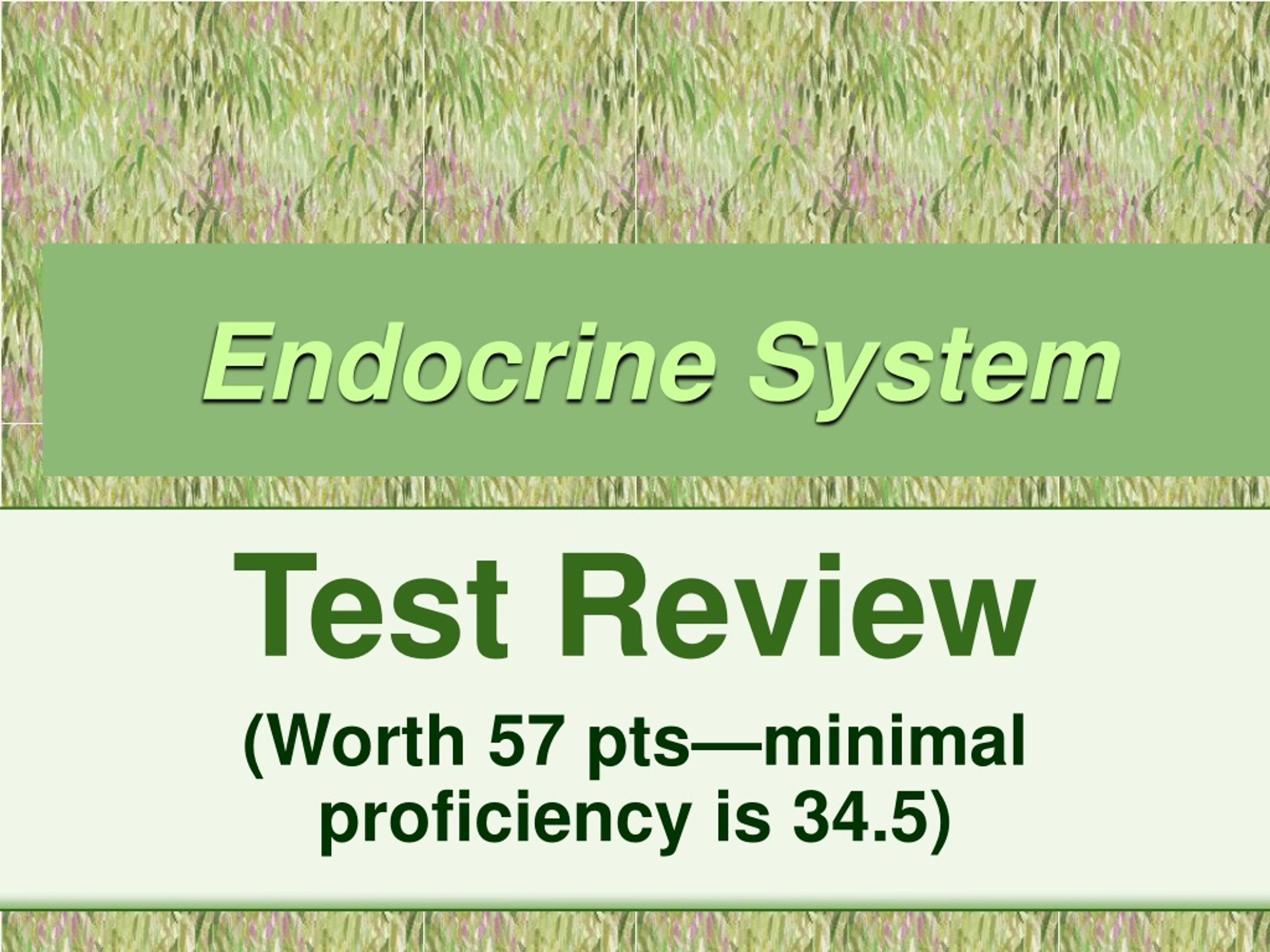 PPT - Endocrine System PowerPoint Presentation, free download - ID:475676