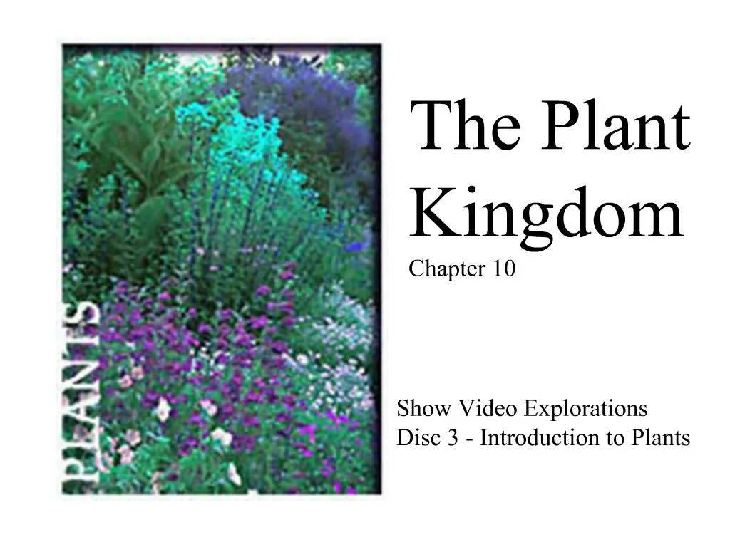 PPT - The Plant Kingdom Chapter 10 PowerPoint Presentation, free ...