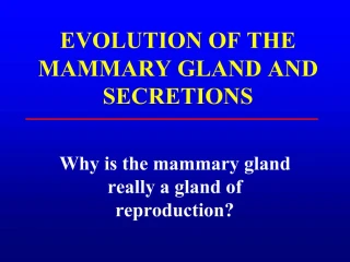 PPT - Gland? 100X PowerPoint Presentation, free download - ID:580108