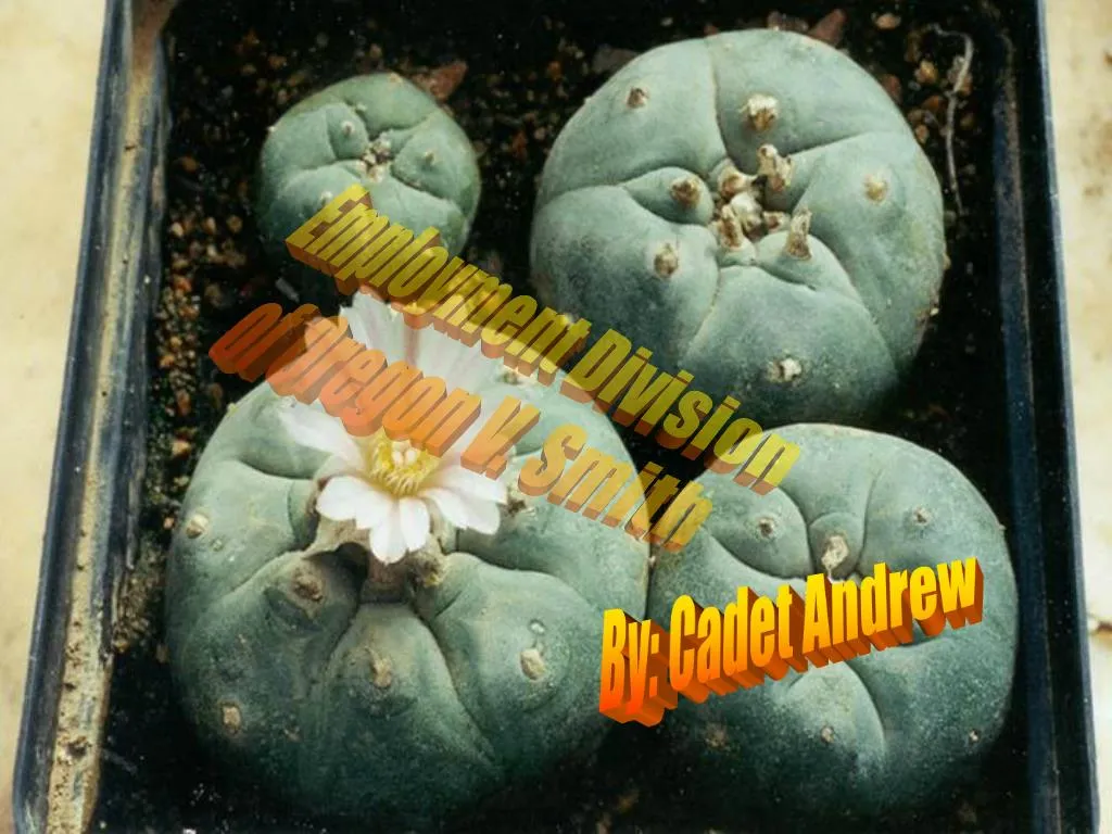 PPT - Employment Division of Oregon V. Smith PowerPoint Presentation ...