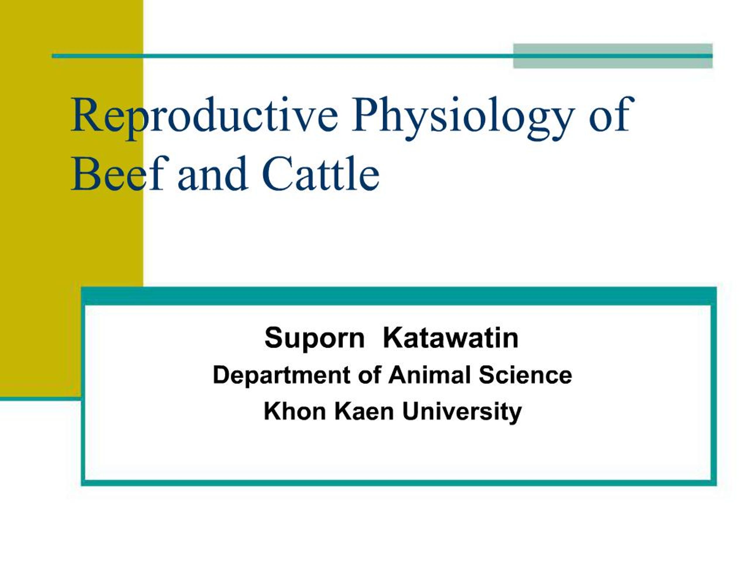 PPT - Reproductive Physiology of Beef and Cattle PowerPoint ...