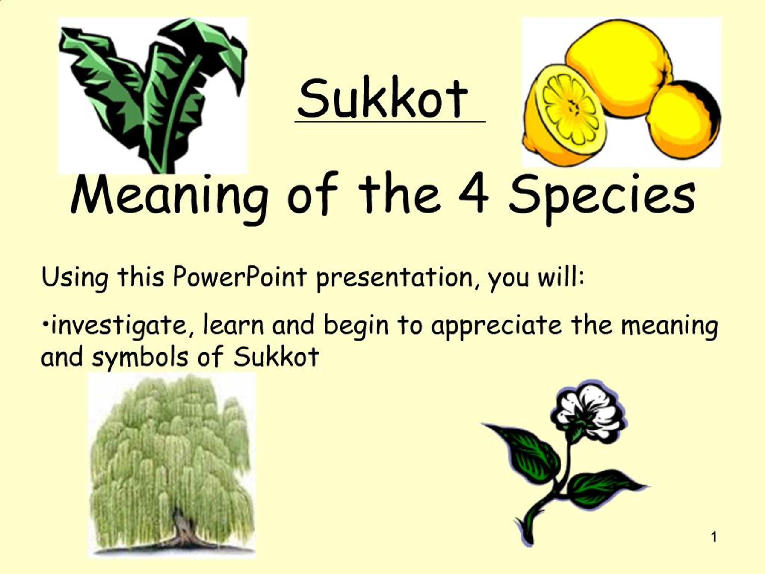 PPT - Sukkot Meaning of the 4 Species PowerPoint Presentation, free ...