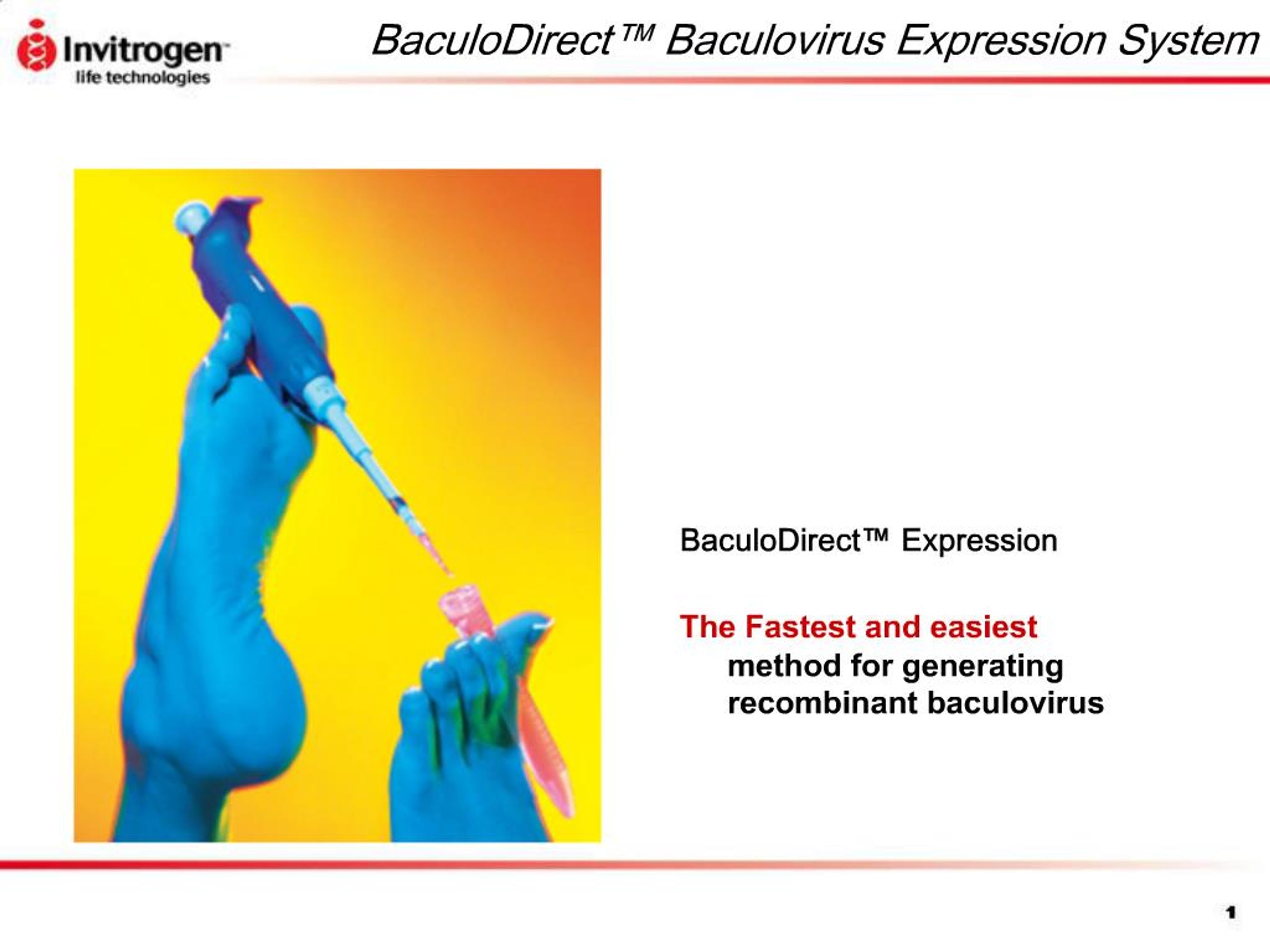 PPT - BaculoDirect Baculovirus Expression System PowerPoint ...