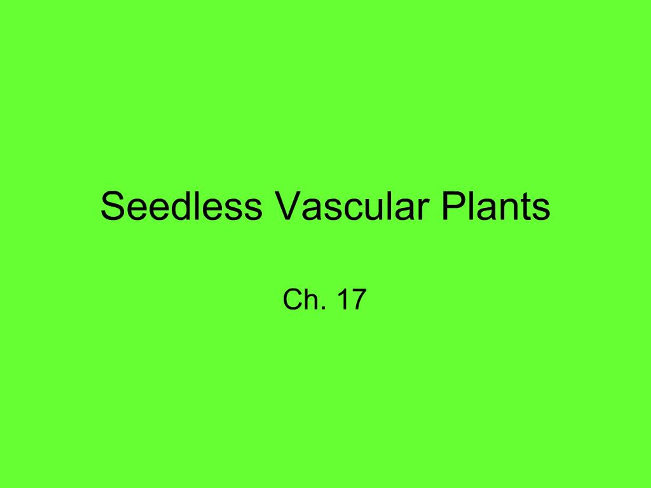 PPT - Seedless Vascular Plants PowerPoint Presentation, free download ...