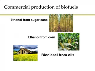 PPT - Biofuels Industry Size, Analysis, Production, 2014 PowerPoint ...