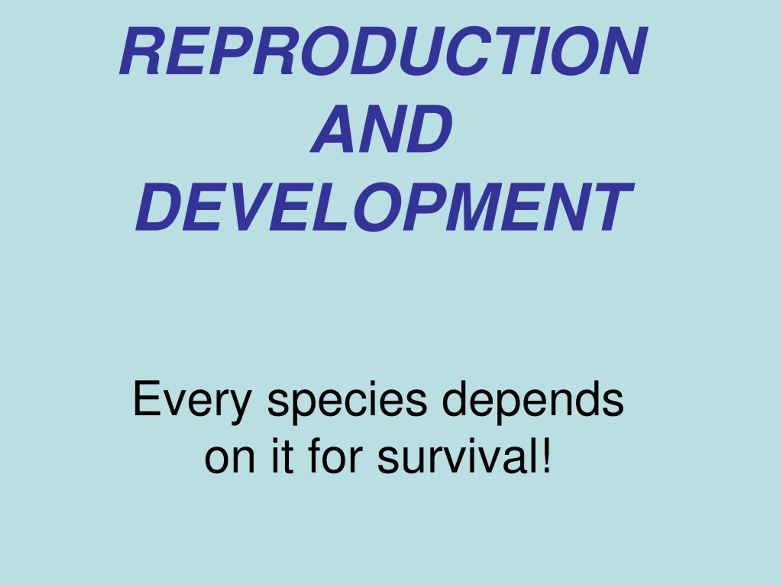 PPT - REPRODUCTION AND DEVELOPMENT PowerPoint Presentation, free ...