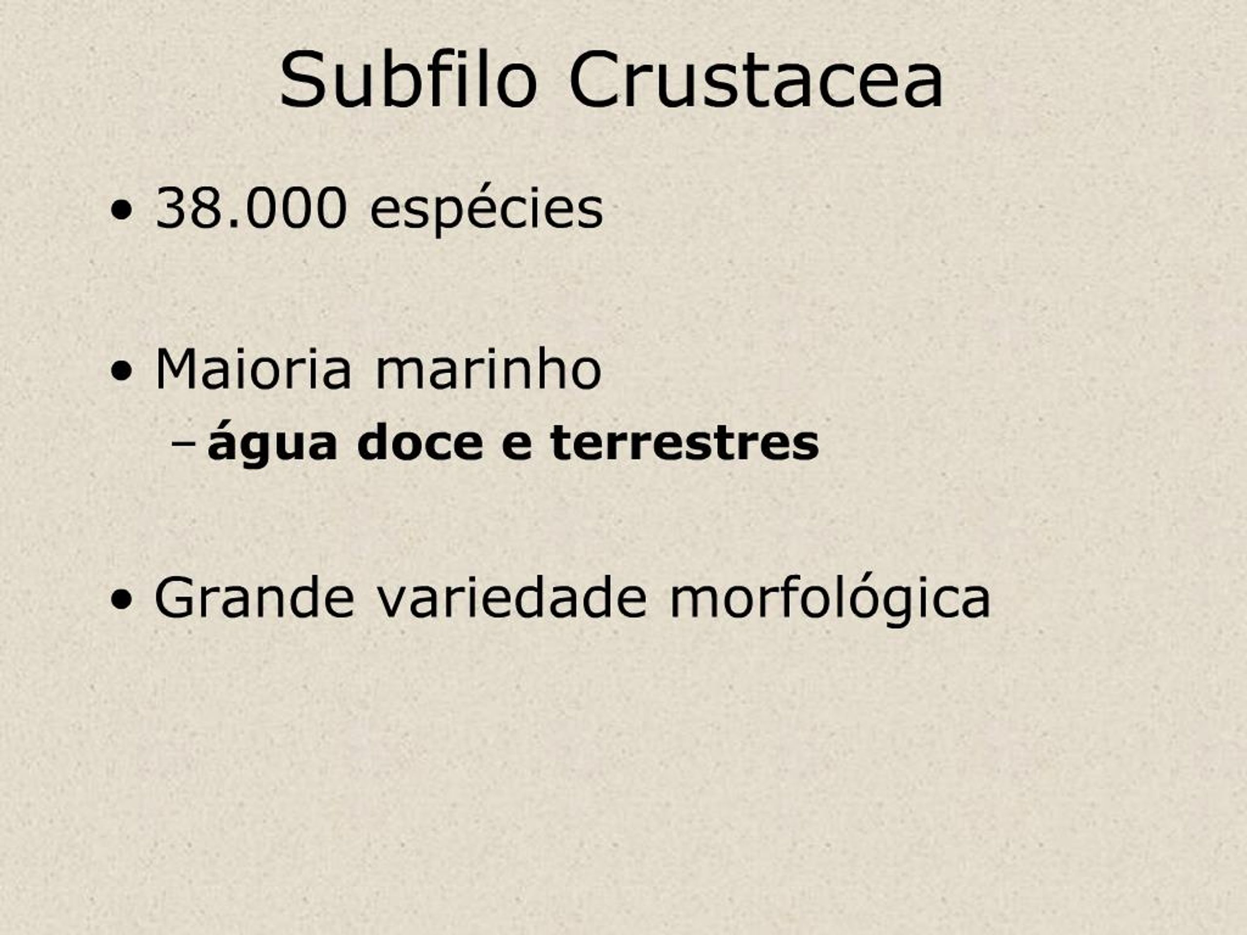 PPT - Subfilo Crustacea PowerPoint Presentation, free download - ID:512152