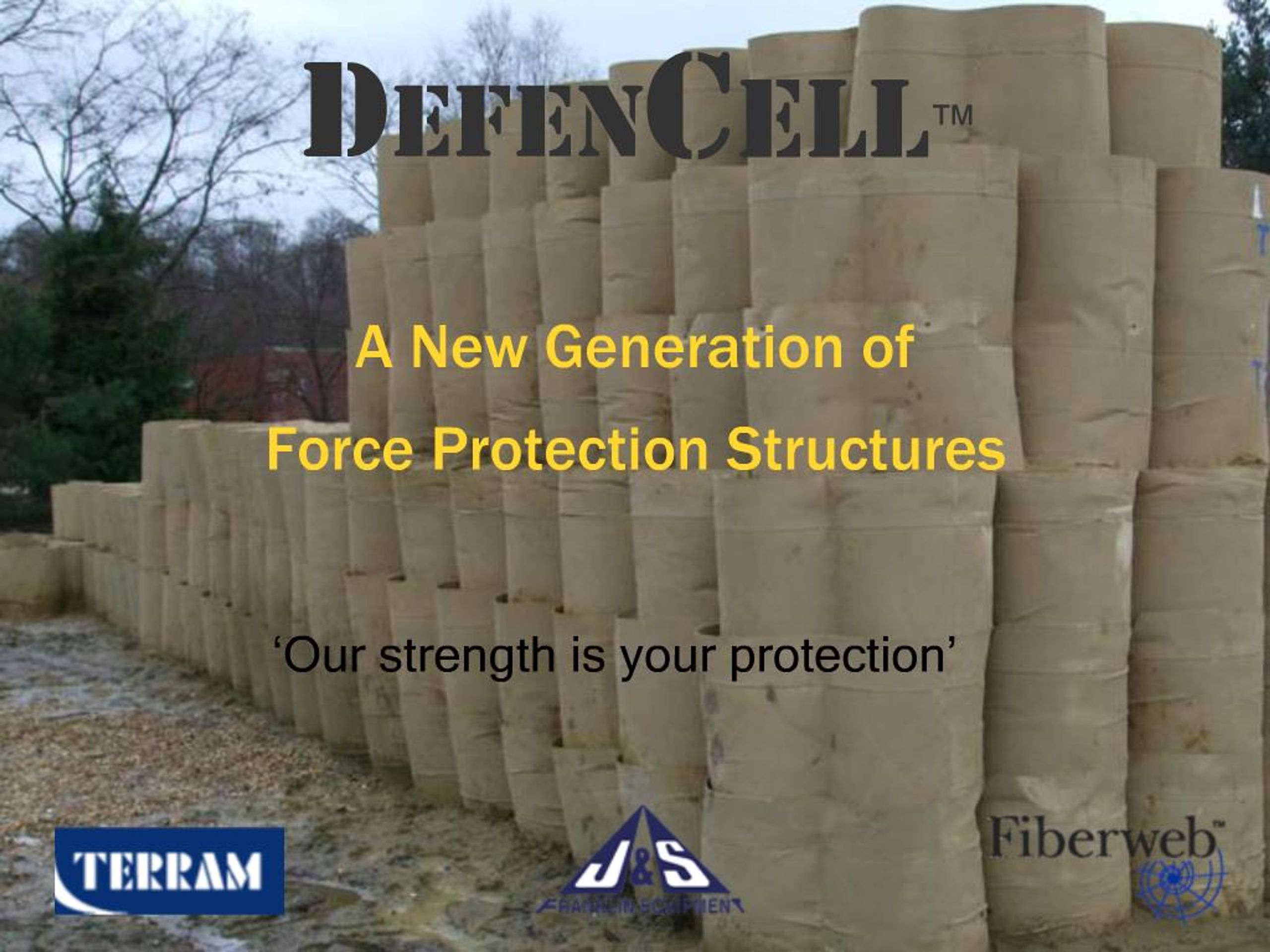 PPT - Defencell PowerPoint Presentation, free download - ID:512483