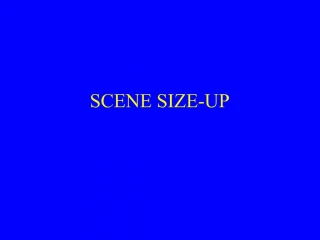 PPT - Scene Size-Up PowerPoint Presentation, free download - ID:1706133