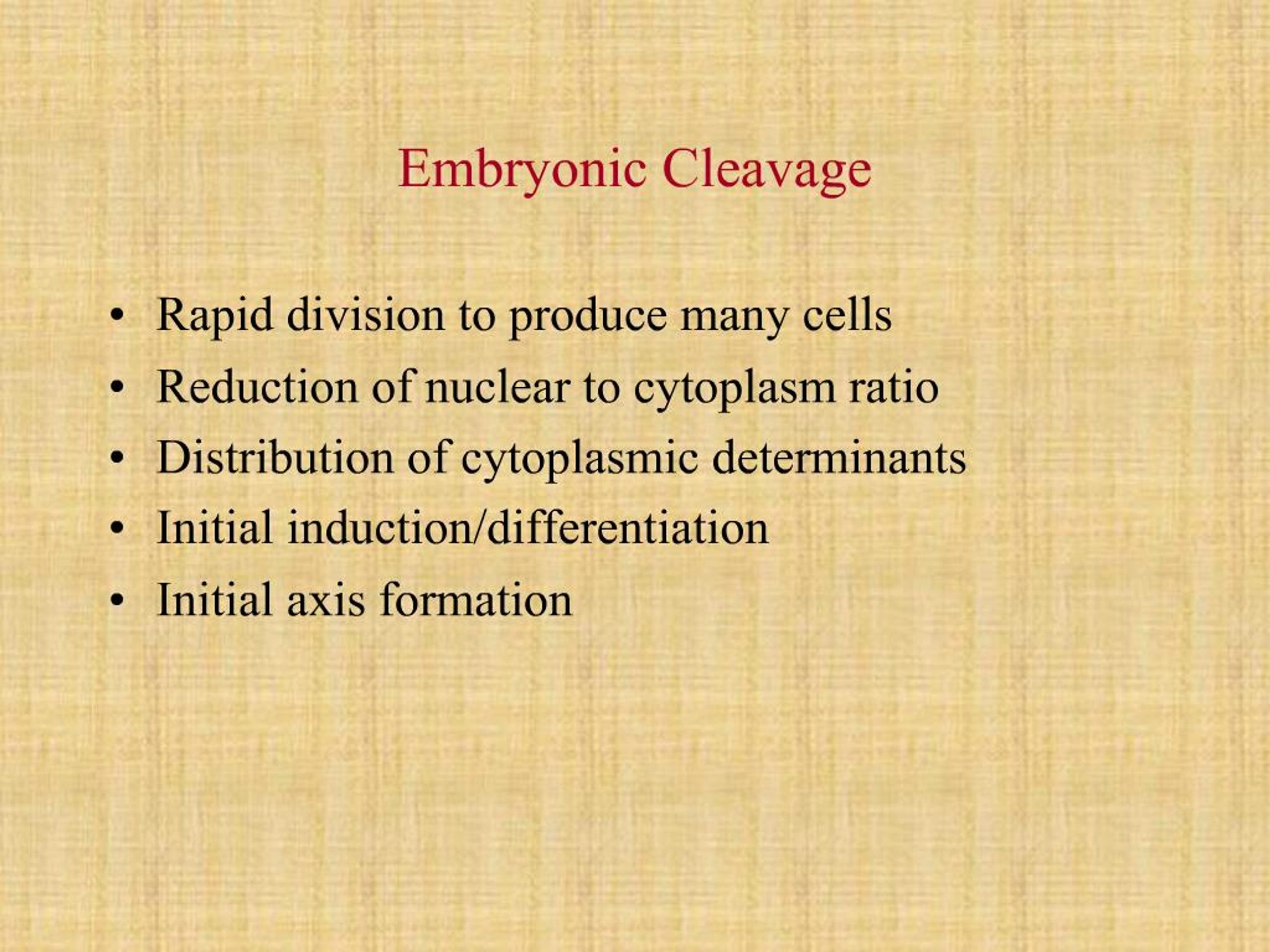 PPT - Embryonic Cleavage PowerPoint Presentation, free download - ID:517194