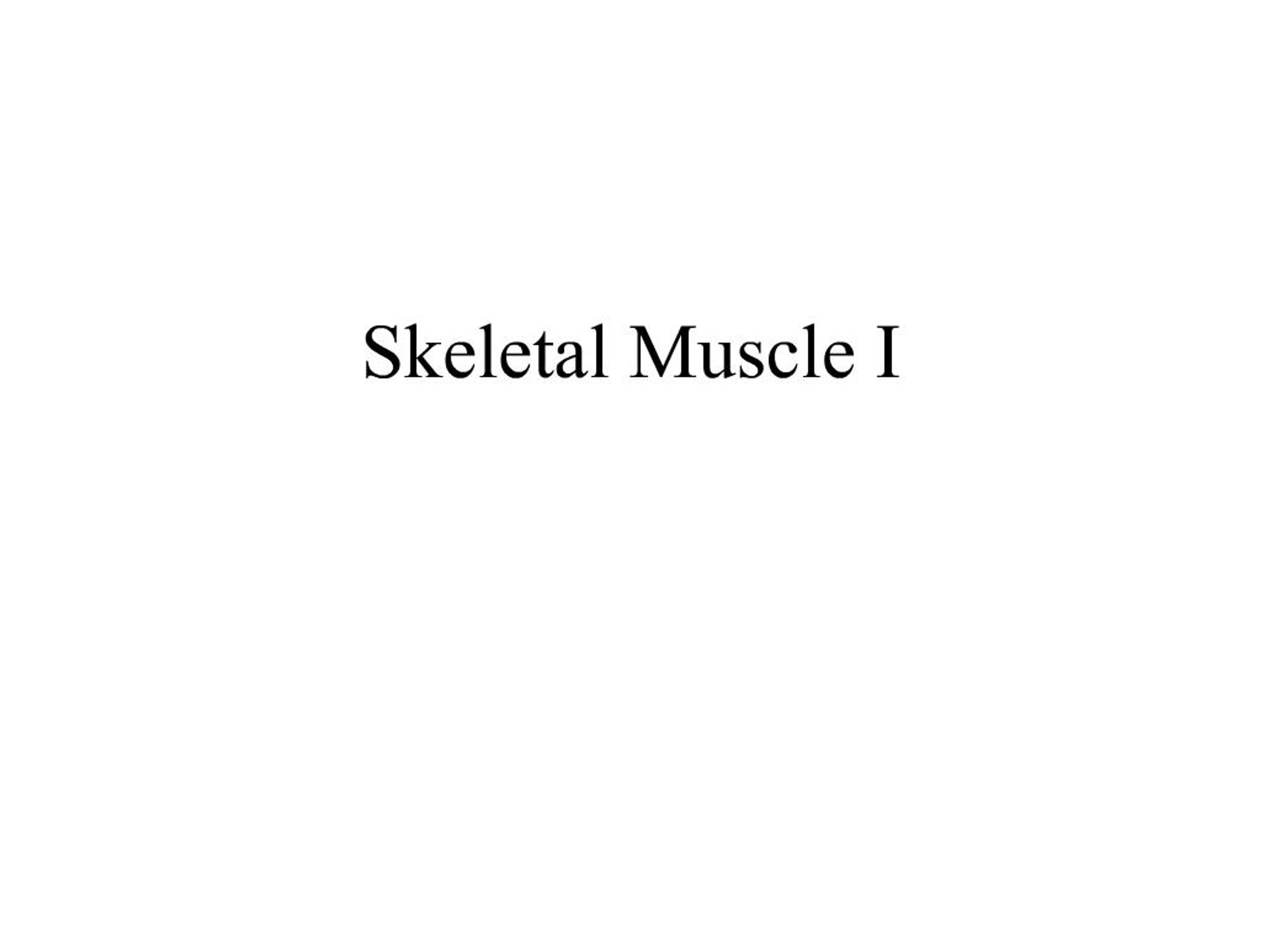PPT - Skeletal Muscle I PowerPoint Presentation, free download - ID:518589