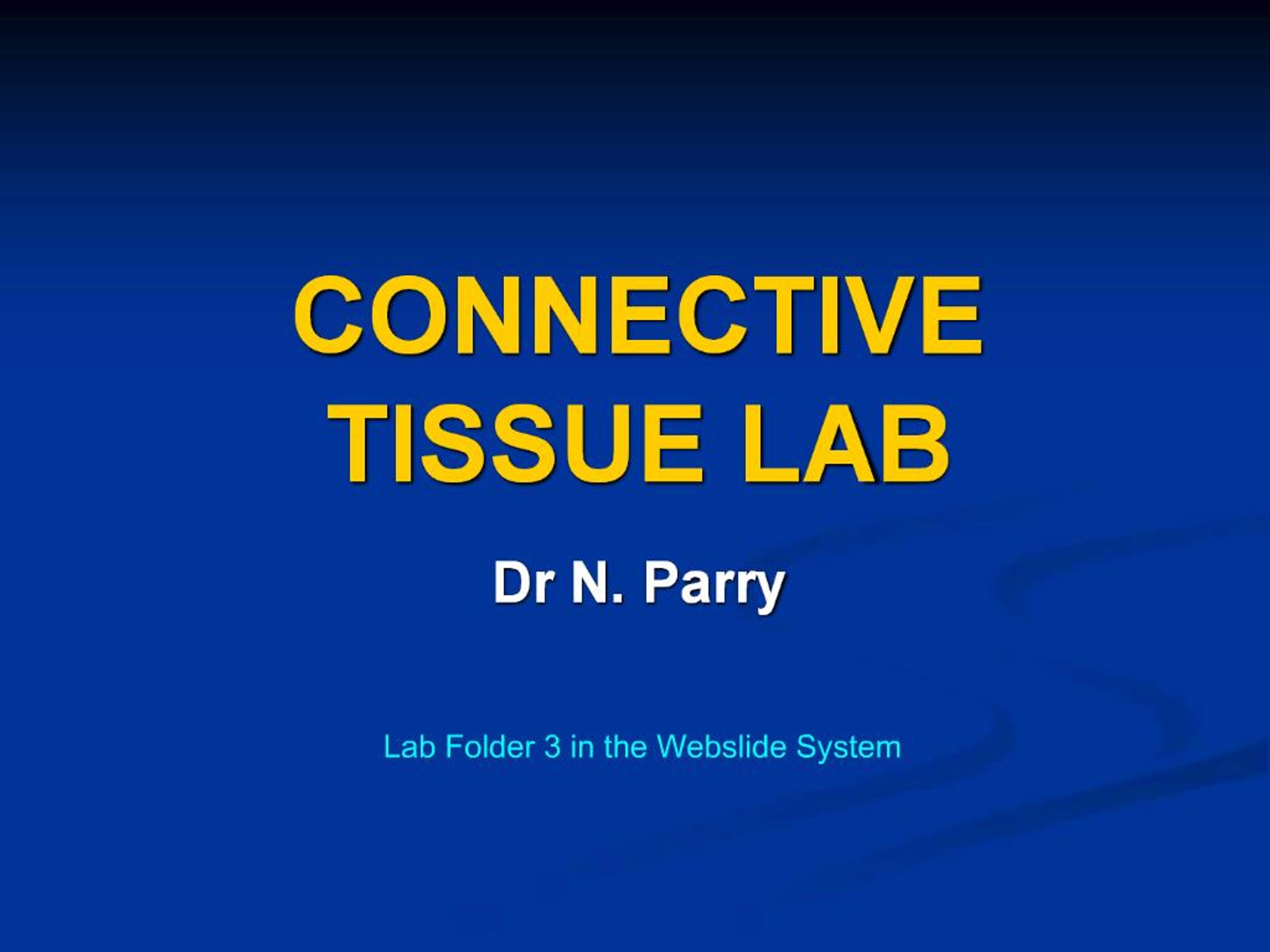 PPT - CONNECTIVE TISSUE LAB PowerPoint Presentation, free download - ID ...
