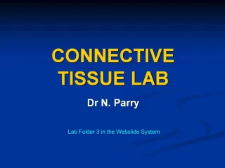 PPT - Lab Exercise 5 Classification of Tissues: Connective Tissue ...