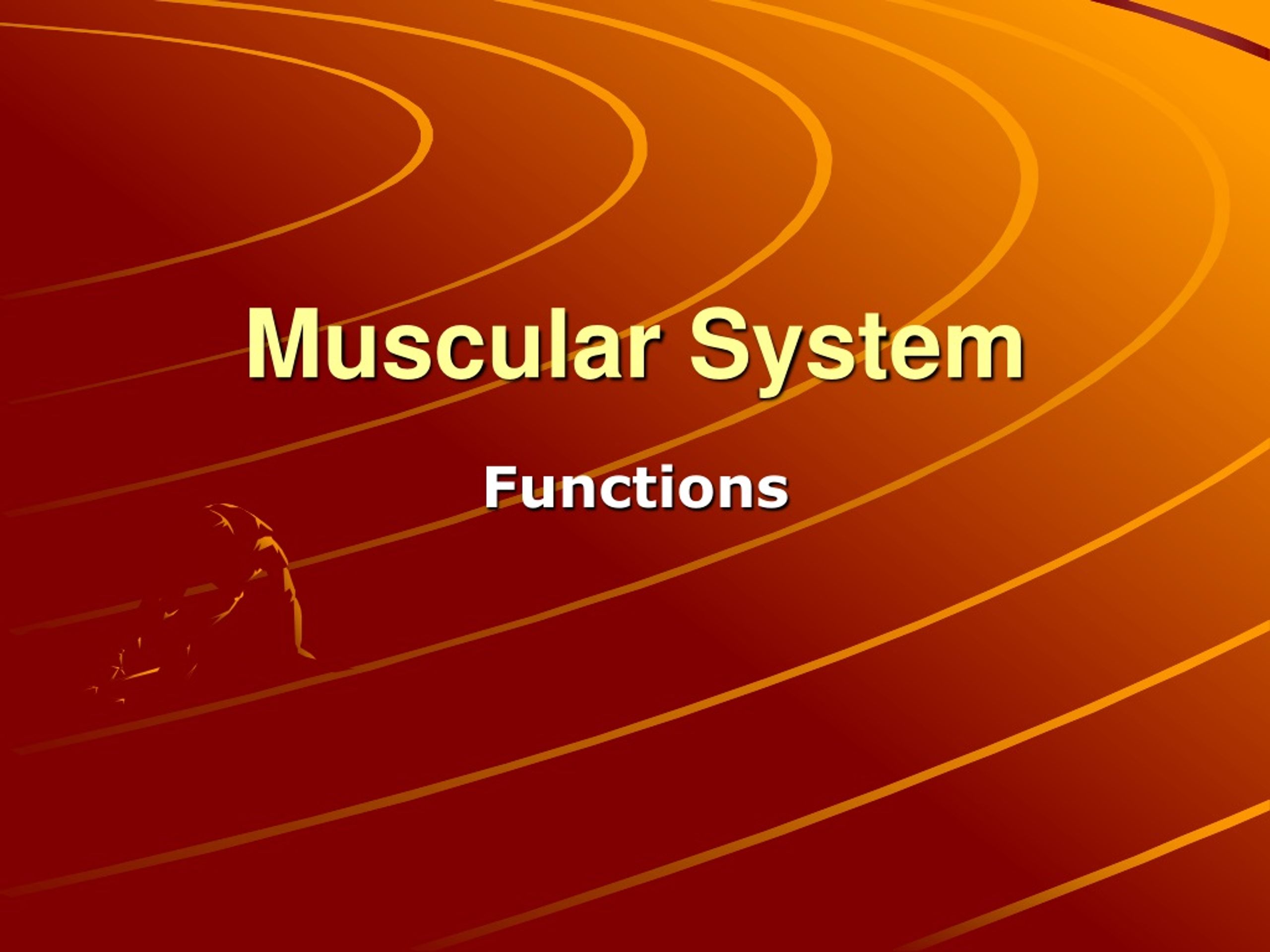 PPT - Muscular System PowerPoint Presentation, free download - ID:524730