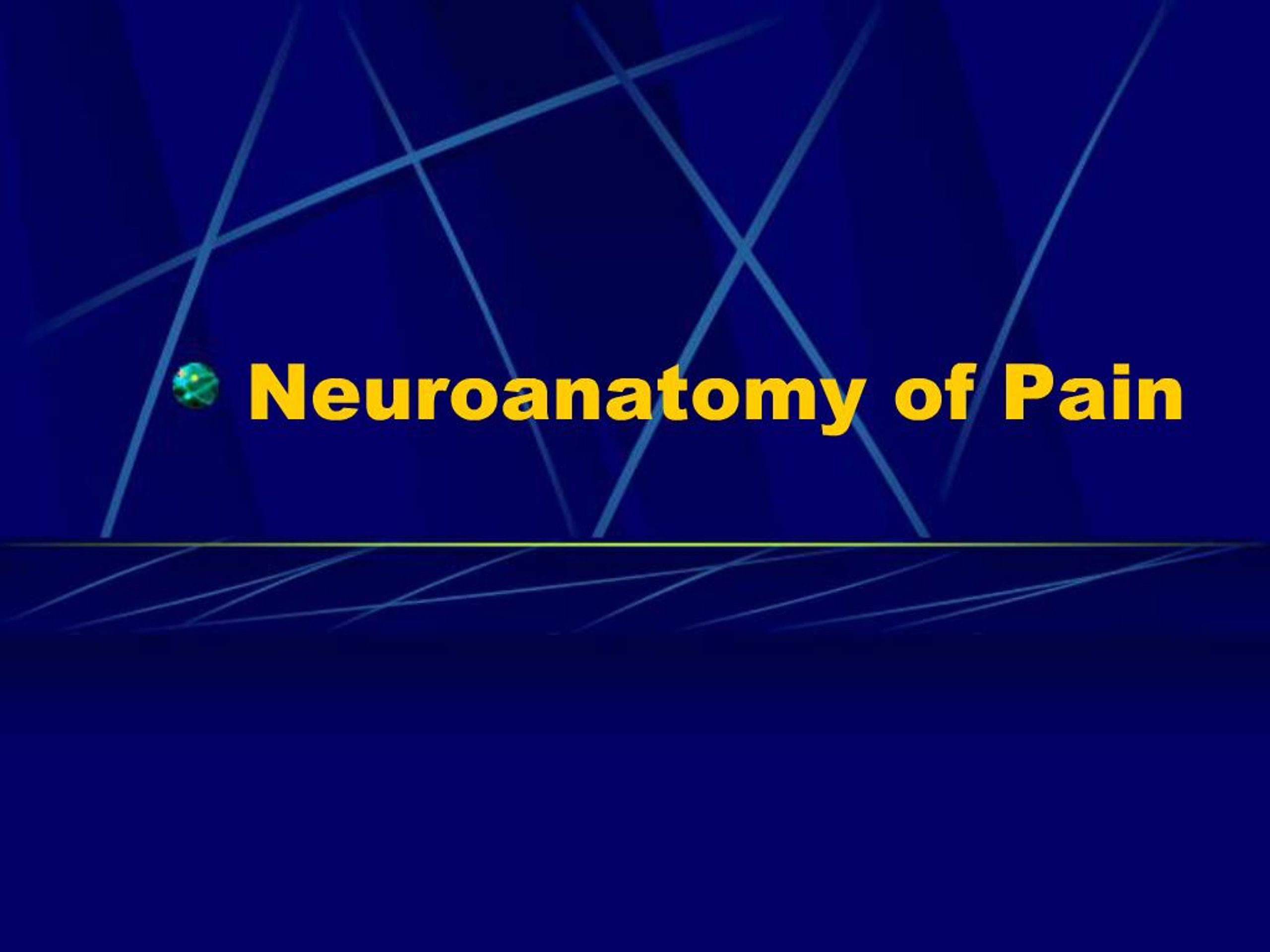 PPT - Neuroanatomy of Pain PowerPoint Presentation, free download - ID ...