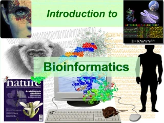 PPT - Introduction to DHIS PowerPoint Presentation, free download - ID ...