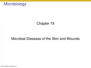 PPT - Aquatic Microbiology PowerPoint Presentation, free download - ID ...