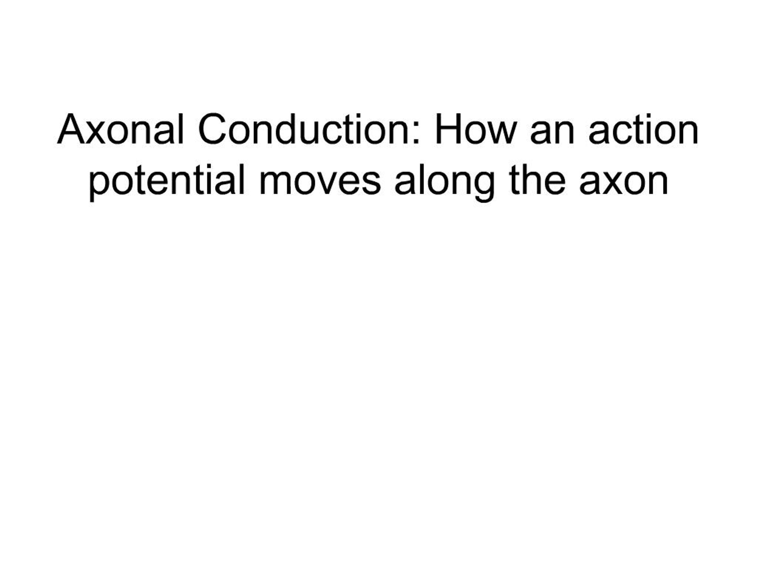 PPT - Axonal Conduction: How an action potential moves along the axon ...