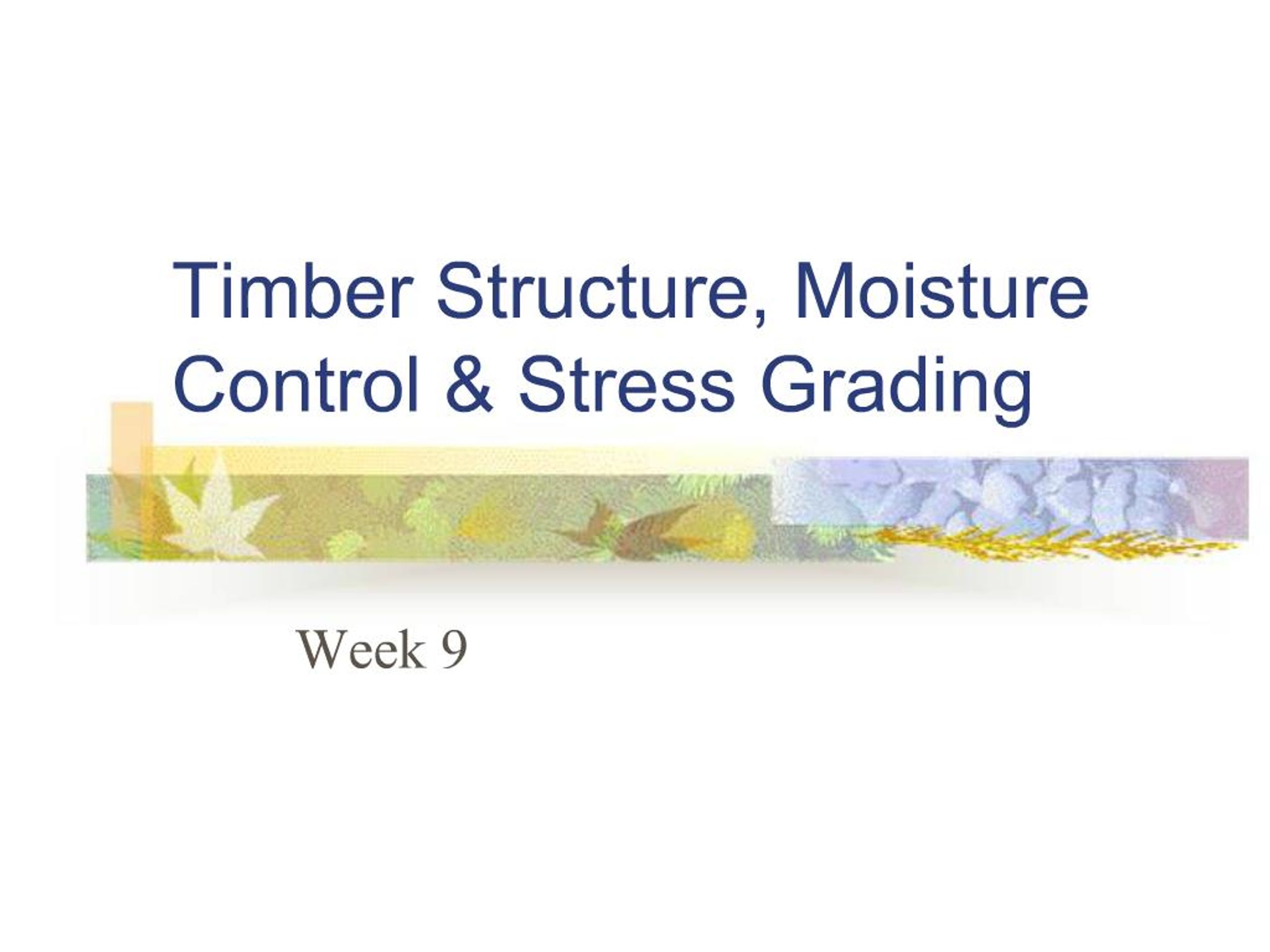 PPT - Timber Structure, Moisture Control Stress Grading PowerPoint ...
