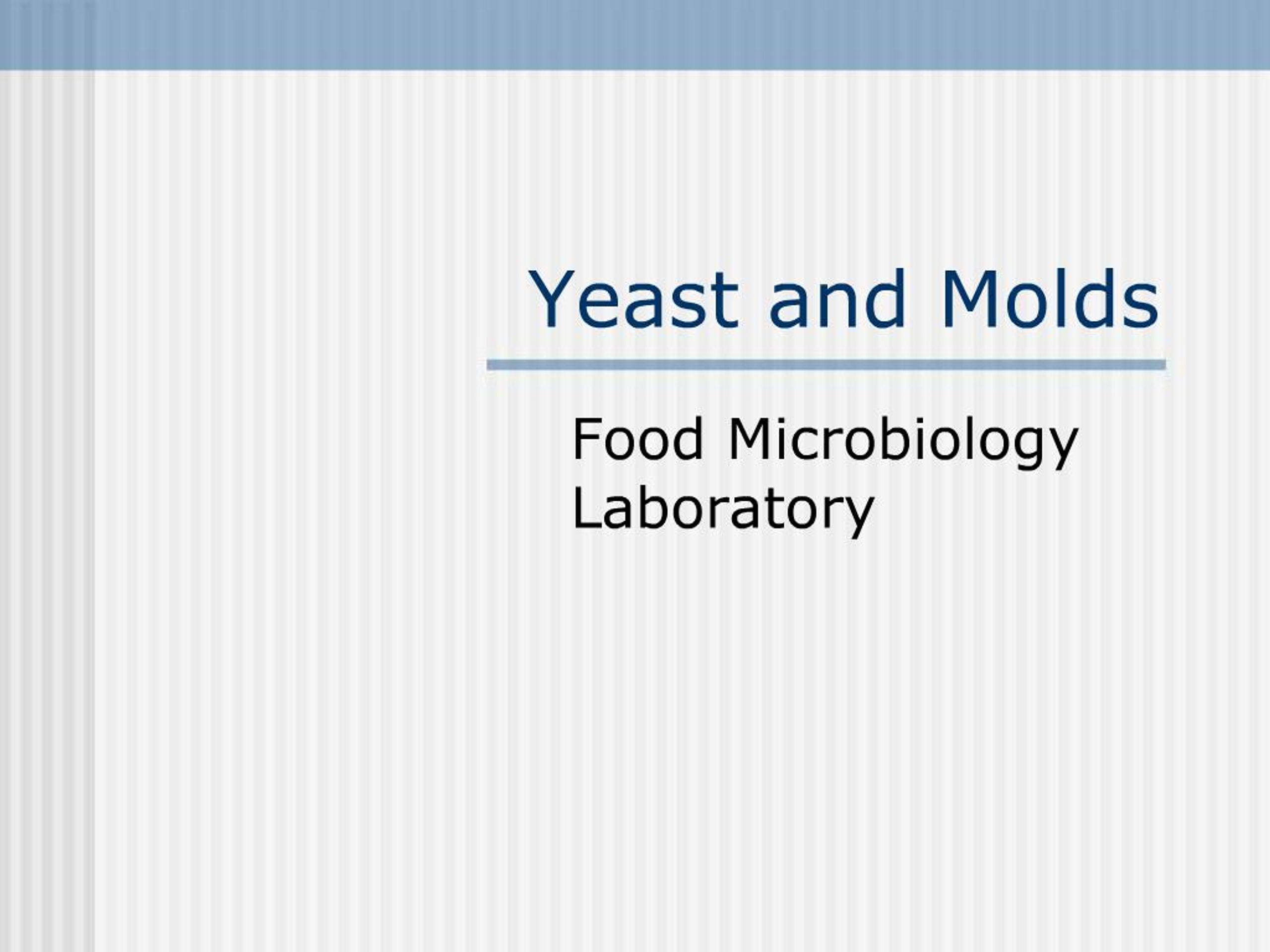 PPT - Yeast and Molds PowerPoint Presentation, free download - ID:542381