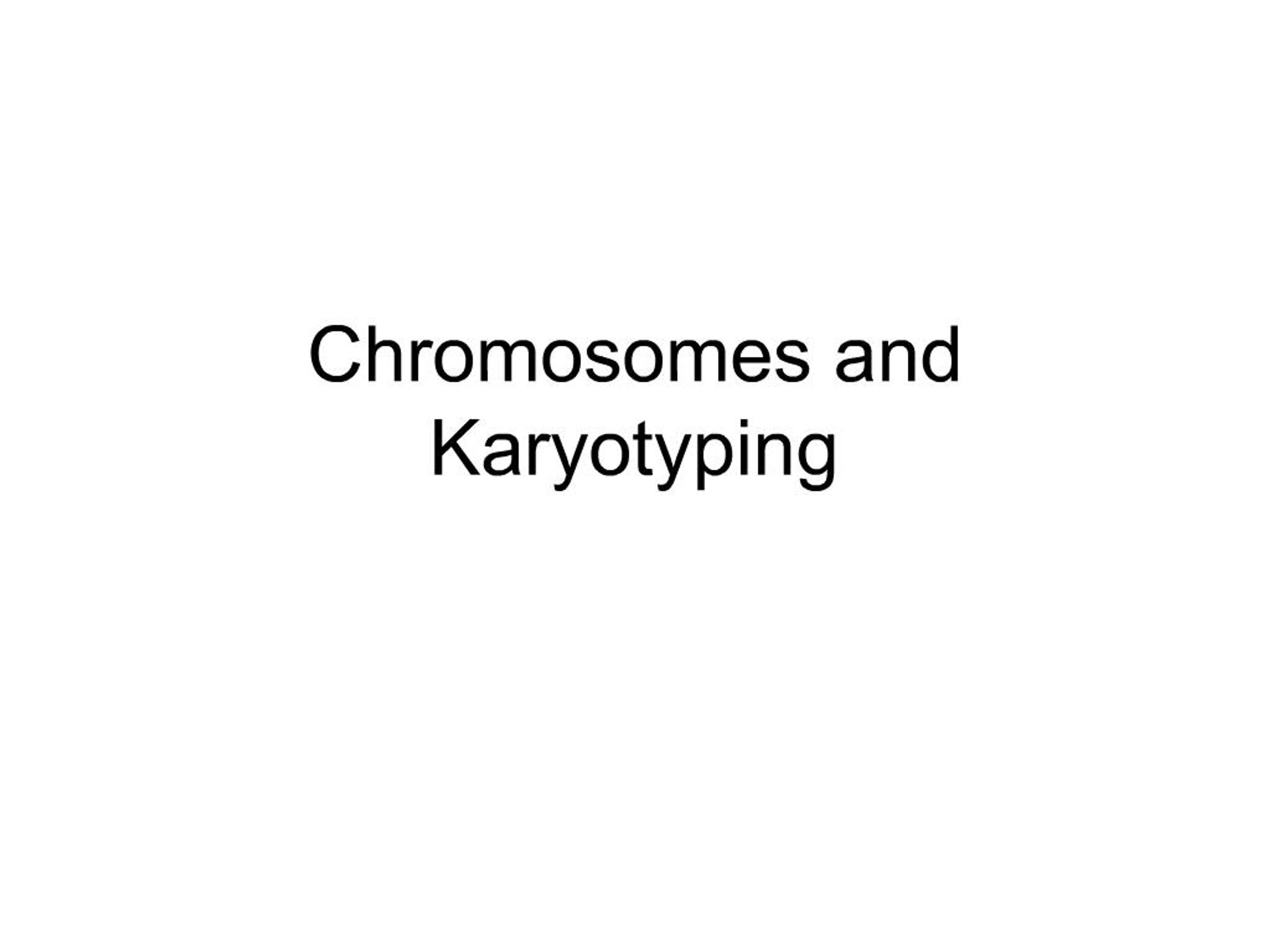 PPT - Chromosomes and Karyotyping PowerPoint Presentation, free ...
