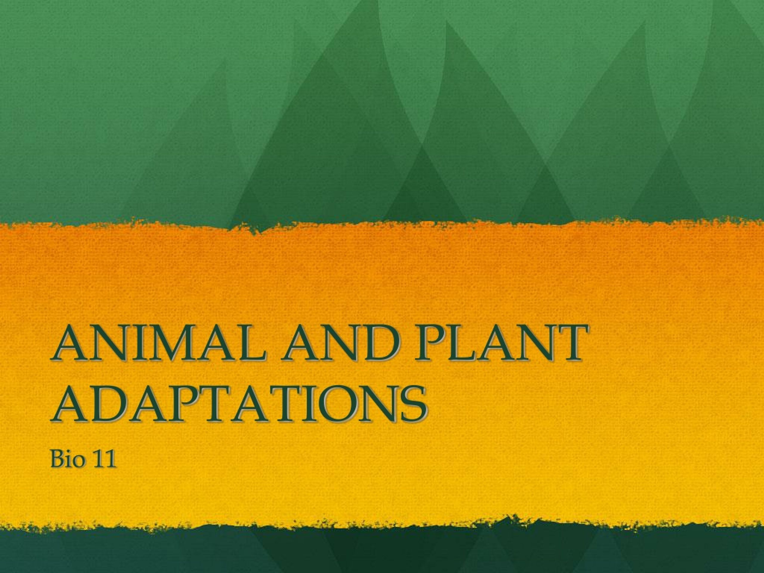 PPT - ANIMAL AND PLANT ADAPTATIONS PowerPoint Presentation, free ...