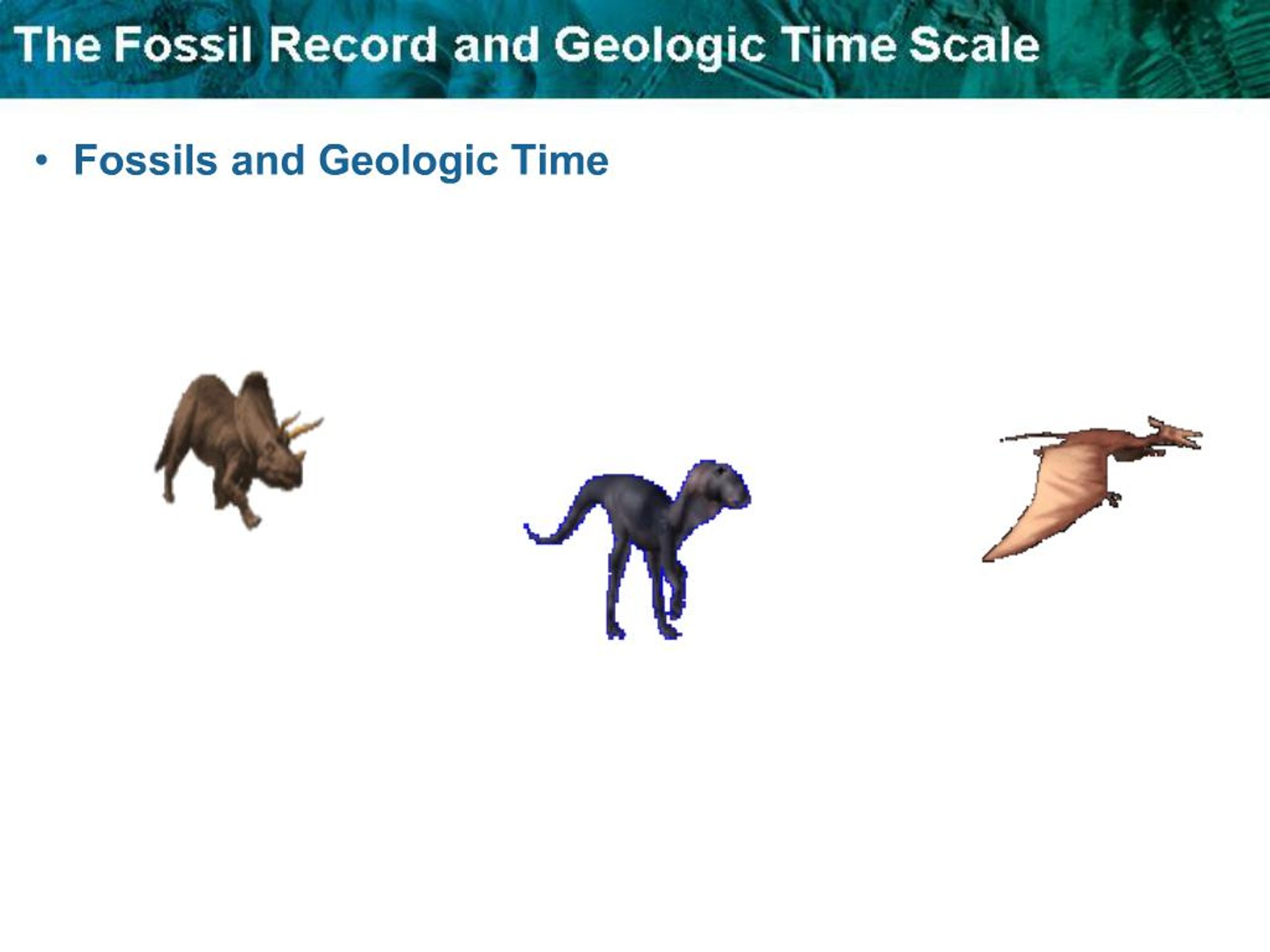 PPT - Fossils and Geologic Time PowerPoint Presentation, free download ...