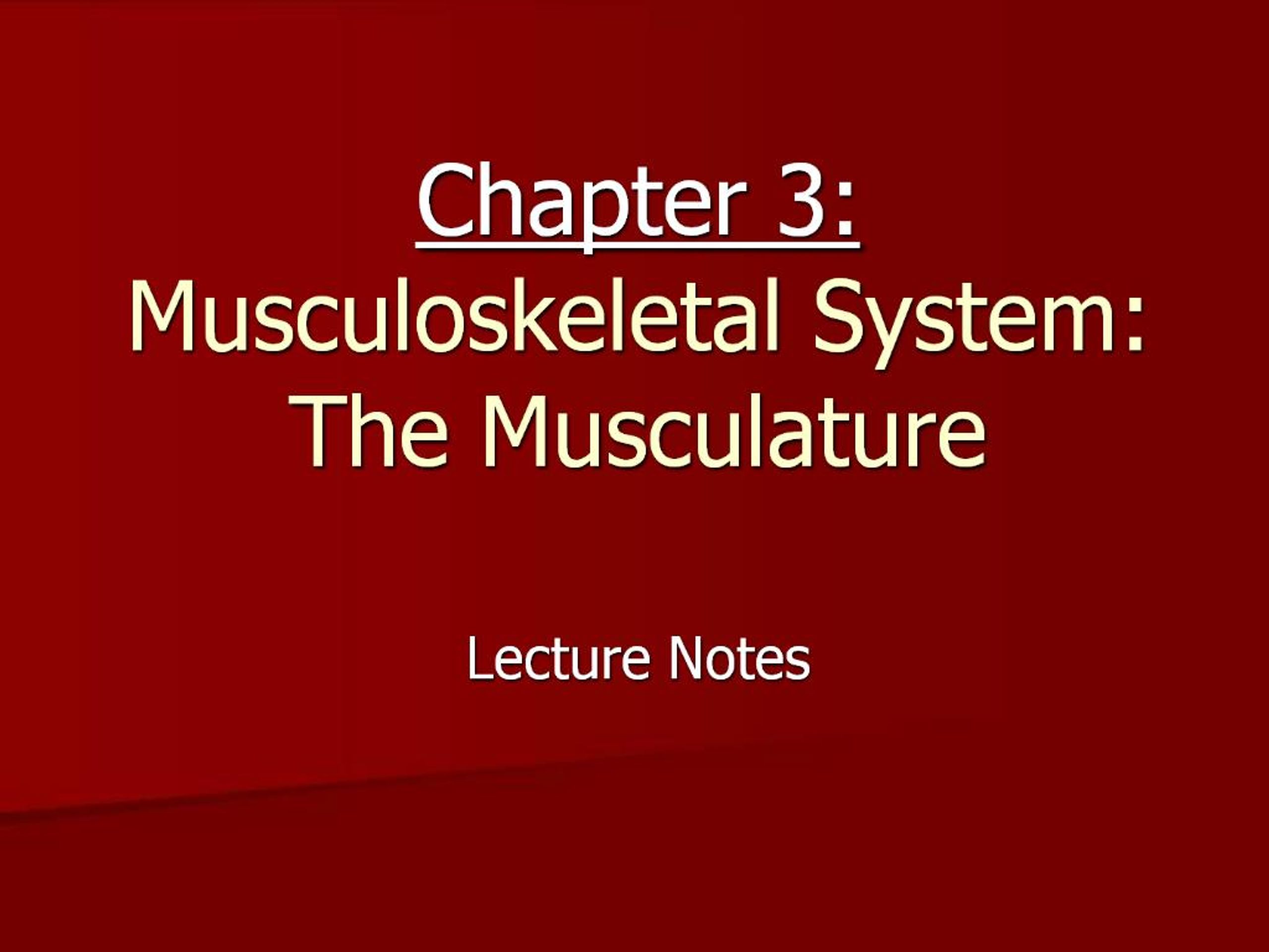 PPT - Chapter 3: Musculoskeletal System: The Musculature PowerPoint ...