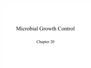 PPT - Microbial Control PowerPoint Presentation, free download - ID:2275730