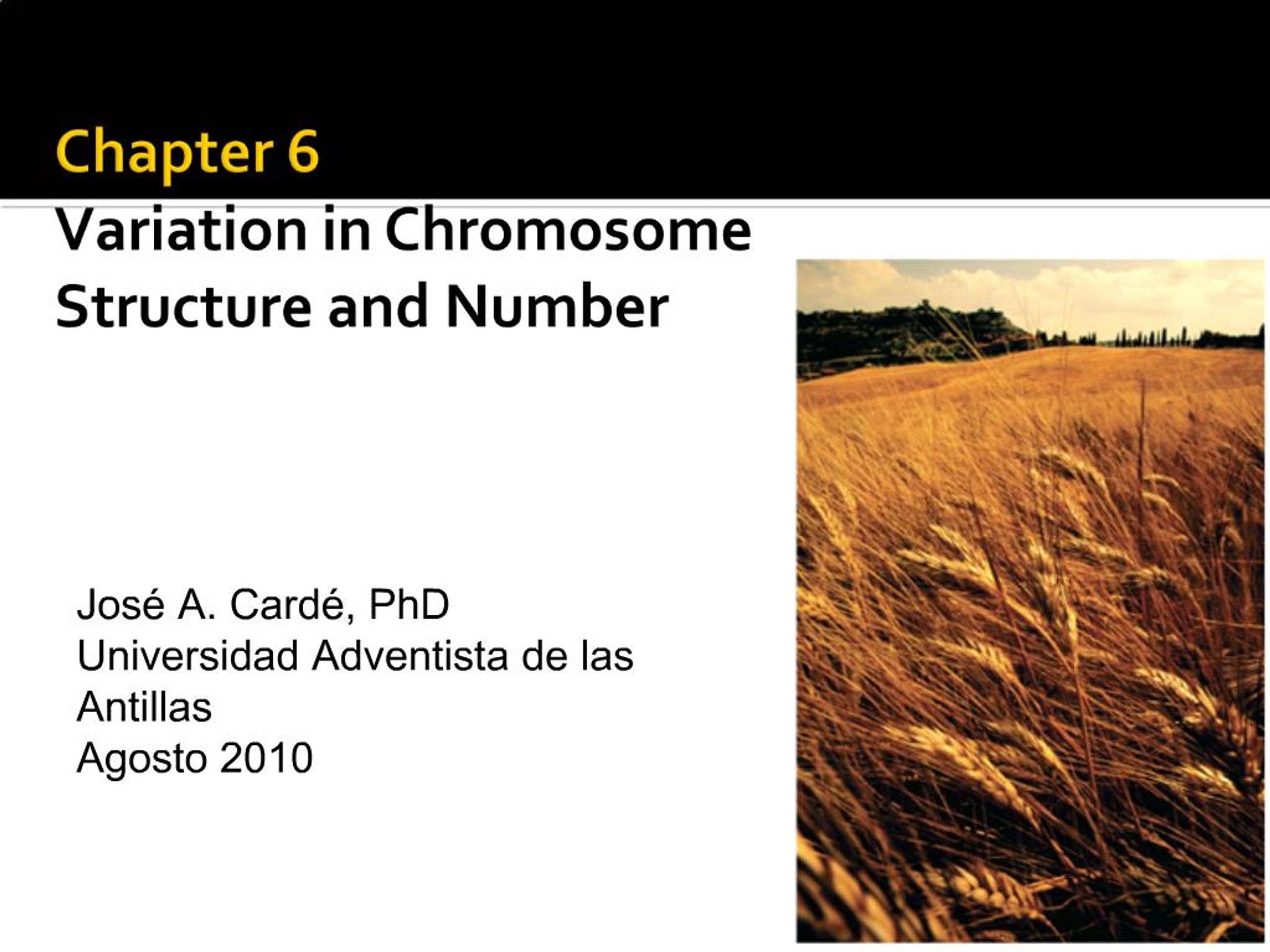PPT - Chapter 6 Variation in Chromosome Structure and Number PowerPoint ...