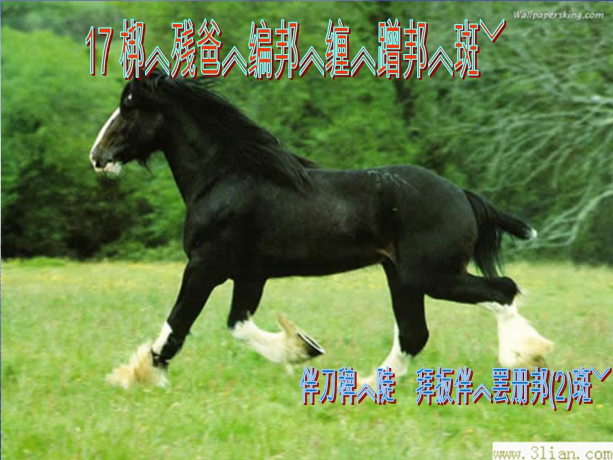 PPT - ??? 1 PowerPoint Presentation, free download - ID:556733